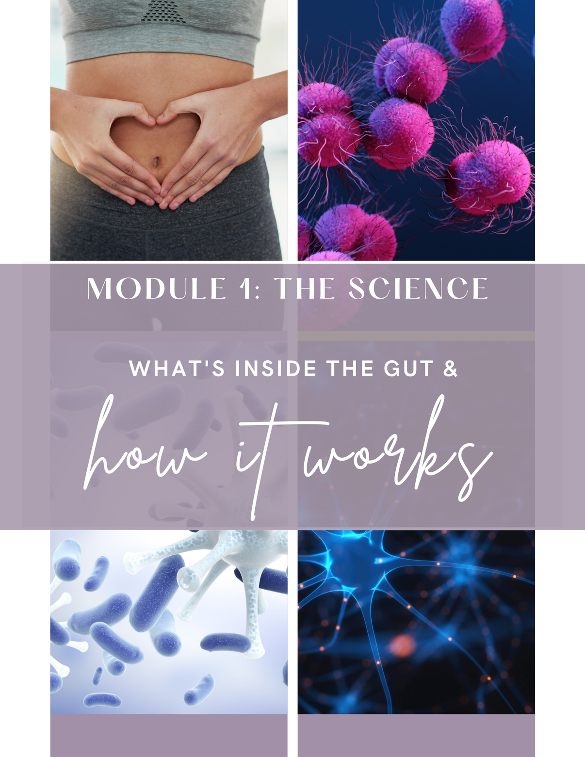 The Full Gut Restoration Guide: Get Healthy & Stay Healthy – A Whole ...